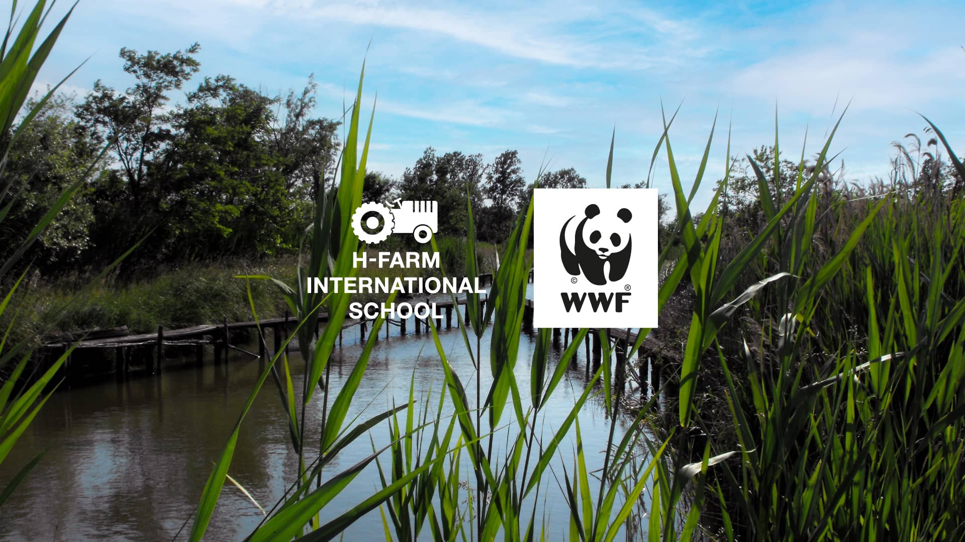 A scuola di biodiversità con il WWF - H-FARM International School