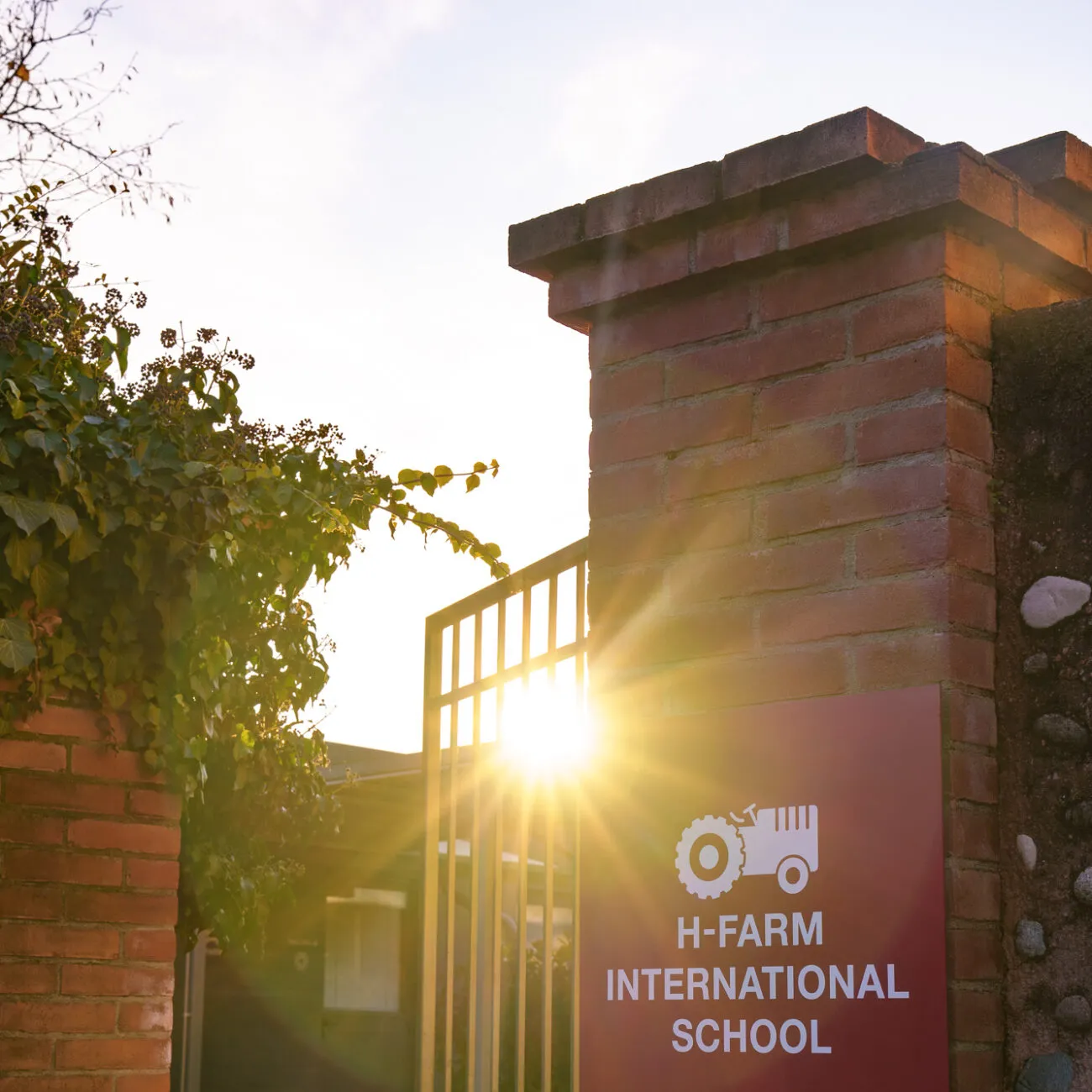 Summer Camp Rosà - H-FARM International School