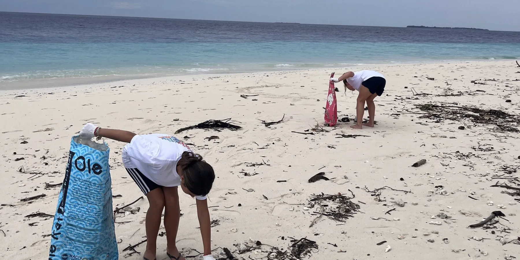 Coral Restoration in the Maldives - H-FARM International School